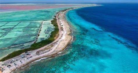 Estimating Chlorophyll A Concentrations Using Sentinel 2 Data In The Coastal Waters Around The