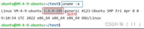 Linux系统详解 Csdn博客