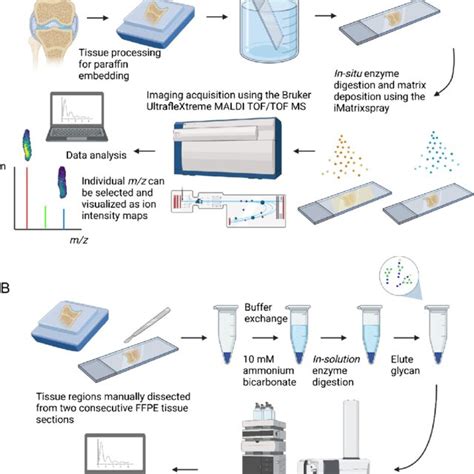 Overview Of In House Developed A Maldi Msi And B Lc Esi Msms Workflows