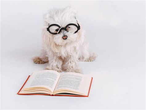 Bionic Reading Method Read Like Ai Think Like A Human Brainscape