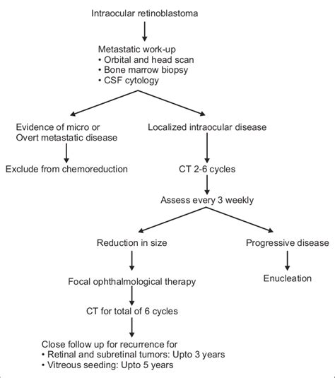 Algorithm For Management Of Intraocular Retinoblastoma Download Scientific Diagram