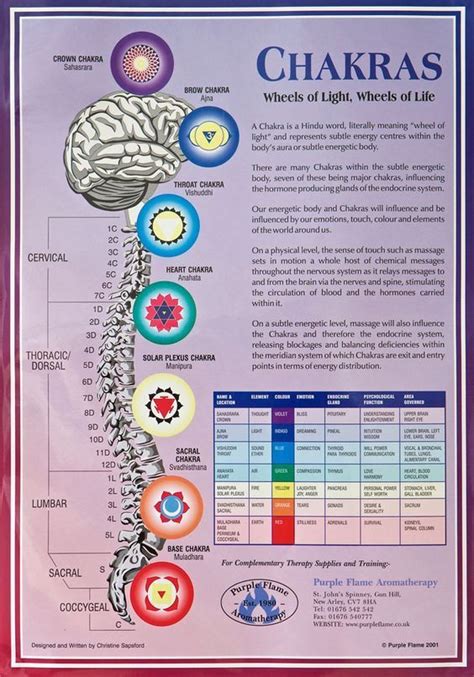 Méditation Citation Yoga 59