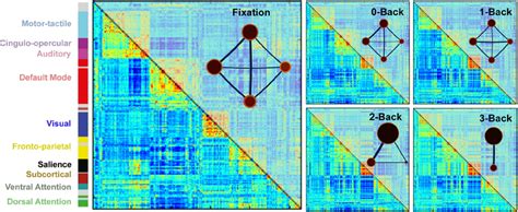Global Brain Modularity Decreases With Increasing Task Demands The
