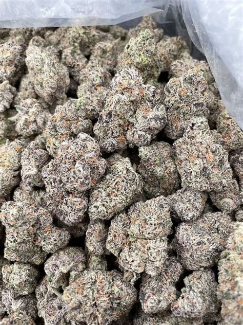 Oreo Cheesecake Strain Oreo Cheesecake Weed Strain