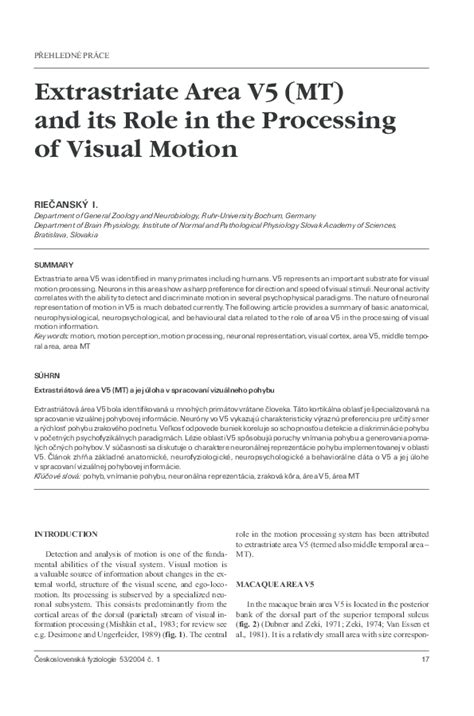 Pdf Extrastriate Area V5 Mt And Its Role In The Processing Of