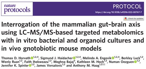 Nature Protocols “肠 脑轴”靶向代谢组学研究 如何破局？ 肿瘤细胞 氨基酸代谢 非靶向代谢 脂质 多组学代谢流检测分析 脂肪酸定量 肠道微生物菌群检测 麦特绘谱