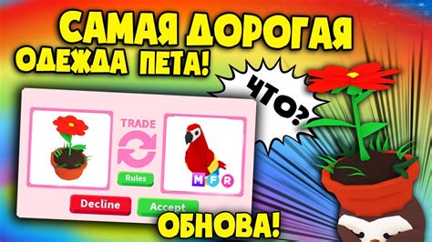 ОБНОВА САМАЯ ДОРОГАЯ ВЕЩЬ ДЛЯ ПЕТА трейд цветка адопт ми Adopt Me Youtube