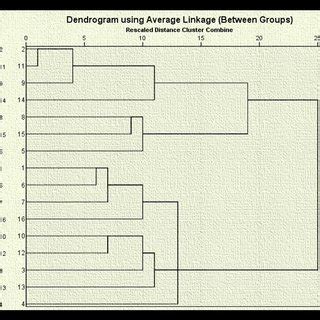 Dendrogram Showing The Knowledge About Determining Of Nursing Functions Download Scientific