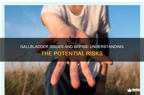 Gallbladder Issues And Sepsis Understanding The Potential Risks Medshun