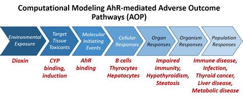 Crbm Collaboration With Computational Modeling Core Center For
