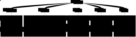 database transactions mis dss and sql optimization for business