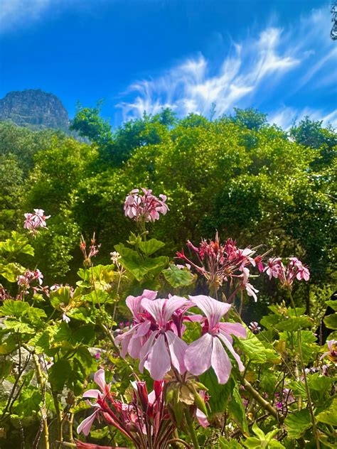 We Are South Africans Added A New We Are South Africans