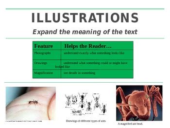 Text Features Powerpoint Slideshow By Anything You Need TpT