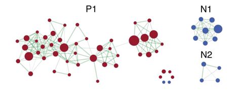 Enrichment Map Visualization For Subcortical Memory Clusters Are 490 Download Scientific