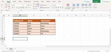 How To Use Wildcard In FILTER Function In Excel Sheetaki
