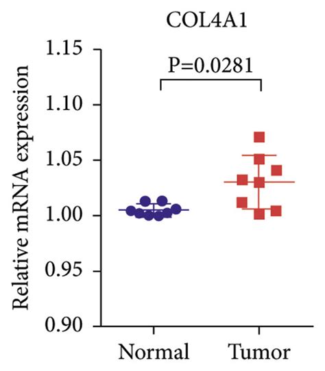 Qrt Qpcr Analysis And Correlation Analysis Ae Validation Of Three