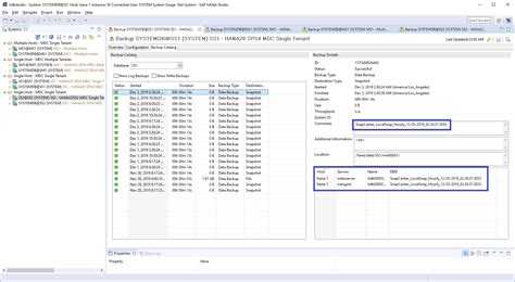 database backups