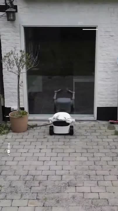 Carlos D On Linkedin Robot Robotics Ai Artificialintelligence