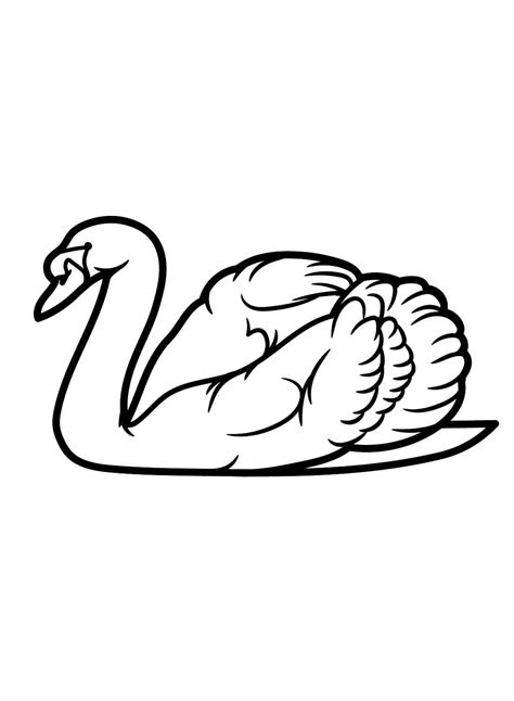 Swan Free Graphics Coloring Page Download Print Or Color Online For Free