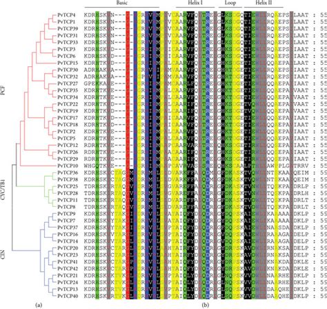 Alignment Of The Predicted Conserved Basic Helix Loop Helix Domain