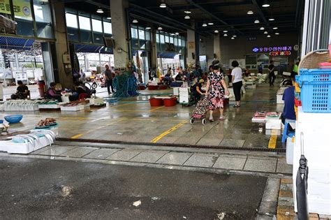 르포 좀전 한팀 받은게 전부한산하다 못해 썰렁한 포항 죽도시장 나무뉴스