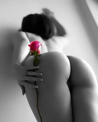 Art Black And White Noir Et Blanc Porn Pictures Xxx Photos Sex Images Pictoa