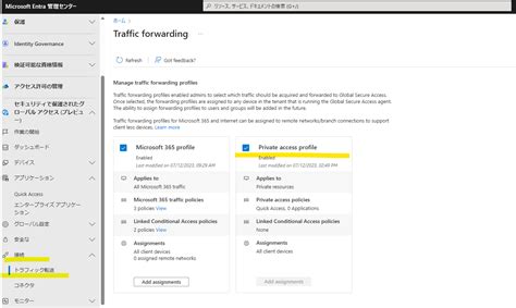 Microsoft Entra の Global Secure Access を使ってみる Private Access 編