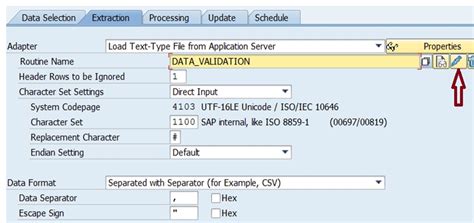 How To Handle Special Characters In Sap Bw4hana Data Loads