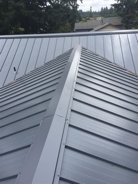 Asc Skyline Metal Roof Artofit
