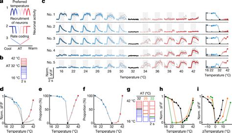 Relative Versus Absolute Encoding Of Cooling And Warming A Schematic