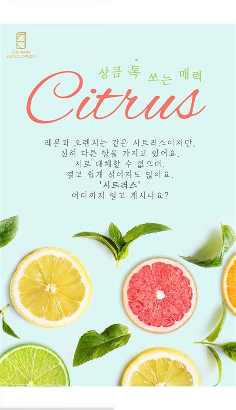 조리백과 조리백과 최고의 식재료 매거진 Chapter 2 시트러스 편입니다 당신의 디쉬를