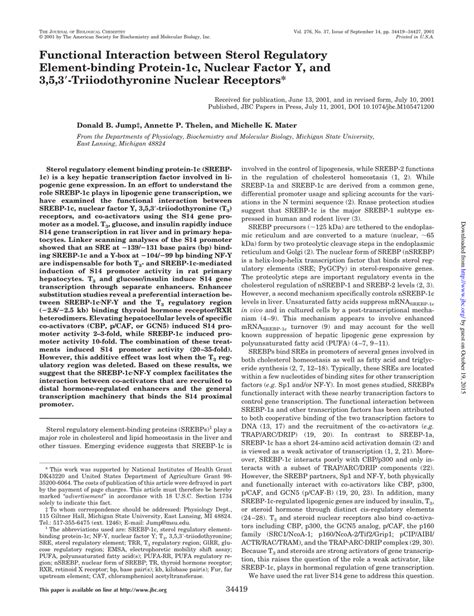Pdf Functional Interaction Between Sterol Regulatory Element Binding Protein 1c Nuclear