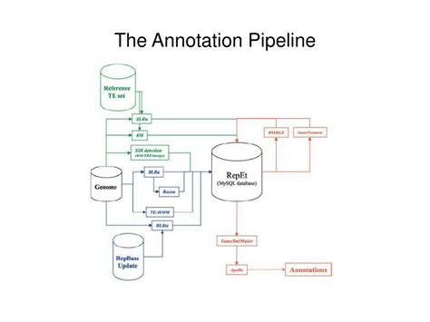 Ppt Transposable Elements Te In Genomic Sequence Powerpoint Presentation Id1327847