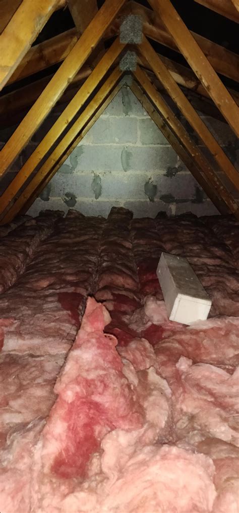 7 Signs Of Roof Insulation Damage What Lies Beneath Your Roof