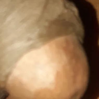 Actress Sonia Singh Rajput Xhamster