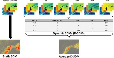 Differences Between Static And Averaged Dynamic Species Distribution Download Scientific