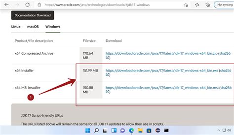 Install Java On Windows 11 Testingdocs