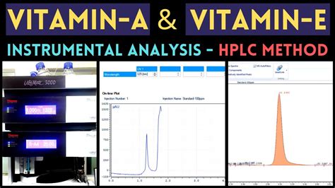 Chromatography Vitamin Analysis At Sara Swasey Blog