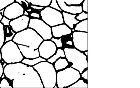 Error In Pixel Classification Result Usage And Issues Imagesc Forum