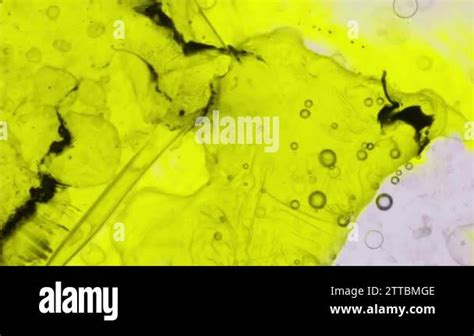 Microscopic Patterns Of Colors And Paints Stock Video Footage Alamy