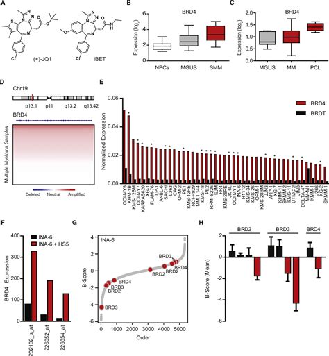 Proto Oncogene Proteins C Myc Semantic Scholar