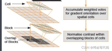 Hog特征提取原理and计算步骤，方向梯度直方图机器学习不一样的崽 开放原子开发者工作坊