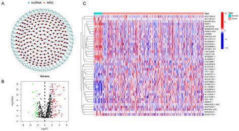 Anoikis Related Long Non Coding Rna Signatures To Predict Prognosis And Immune Infiltration Of