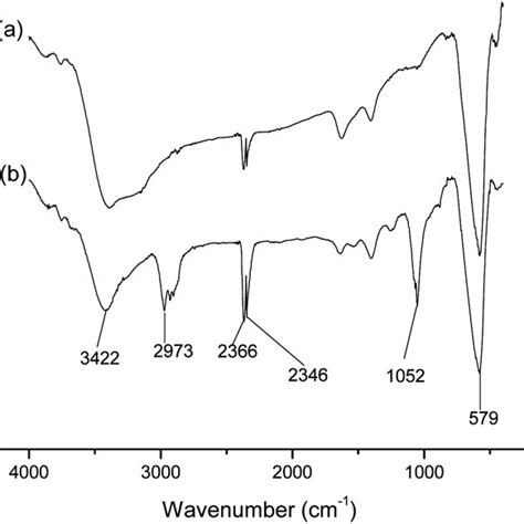 Ftir Spectra Recorded Between 4000 And 400 Cm À1 Of A Unmodified Mnps Download Scientific