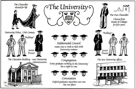 University Hierarchy Daily Info Daily Info