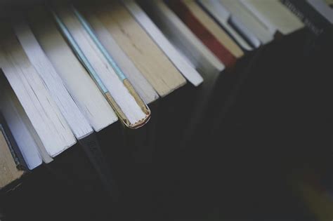 8 use cases of lambda and apply functions in pandas by anmol tomar