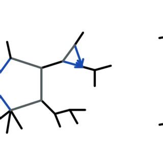 Example Blob Tree Left Level 1 Network N With Leaf Labels Omitted