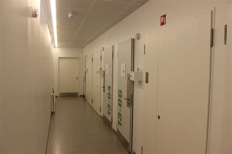 Excessive Use Of Solitary Confinement Iceland Monitor