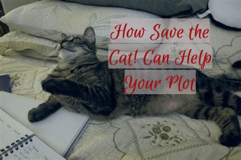 What Is Save The Cat Can It Help Your Plot Writing Tips And Sips