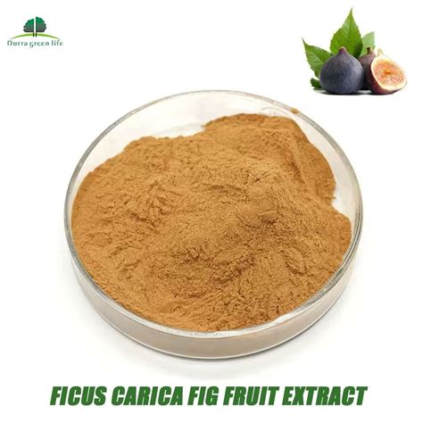 China Organic Ficus Carica Fig Fruit Extract Manufacturers Factory